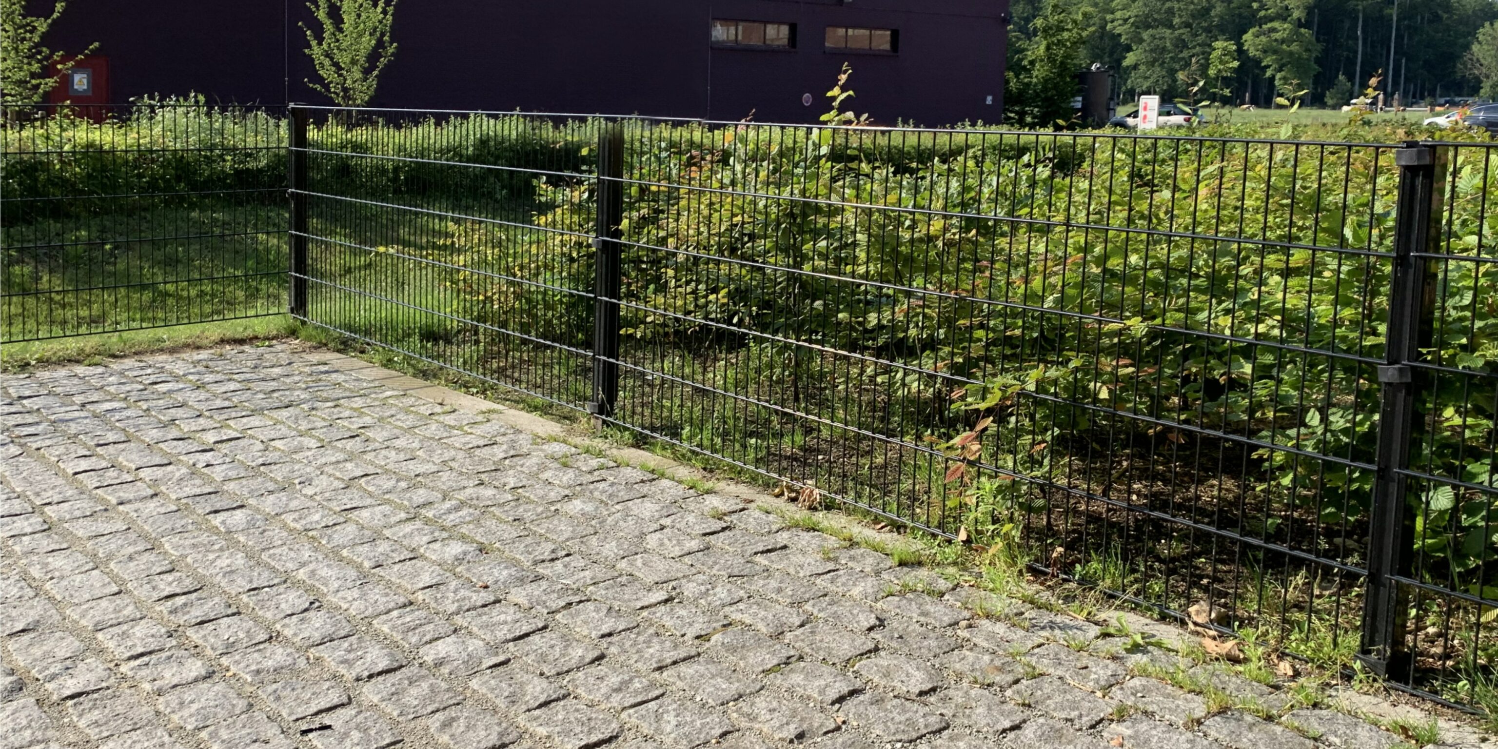 Lage tuinafscheiding: welke opties & prijzen? [+ Inspiratie]