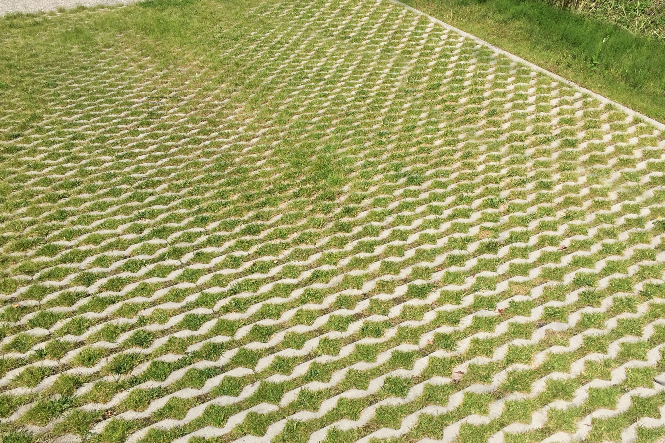 Grastegels: Info, Prijzen & Tips | Groene bestrating