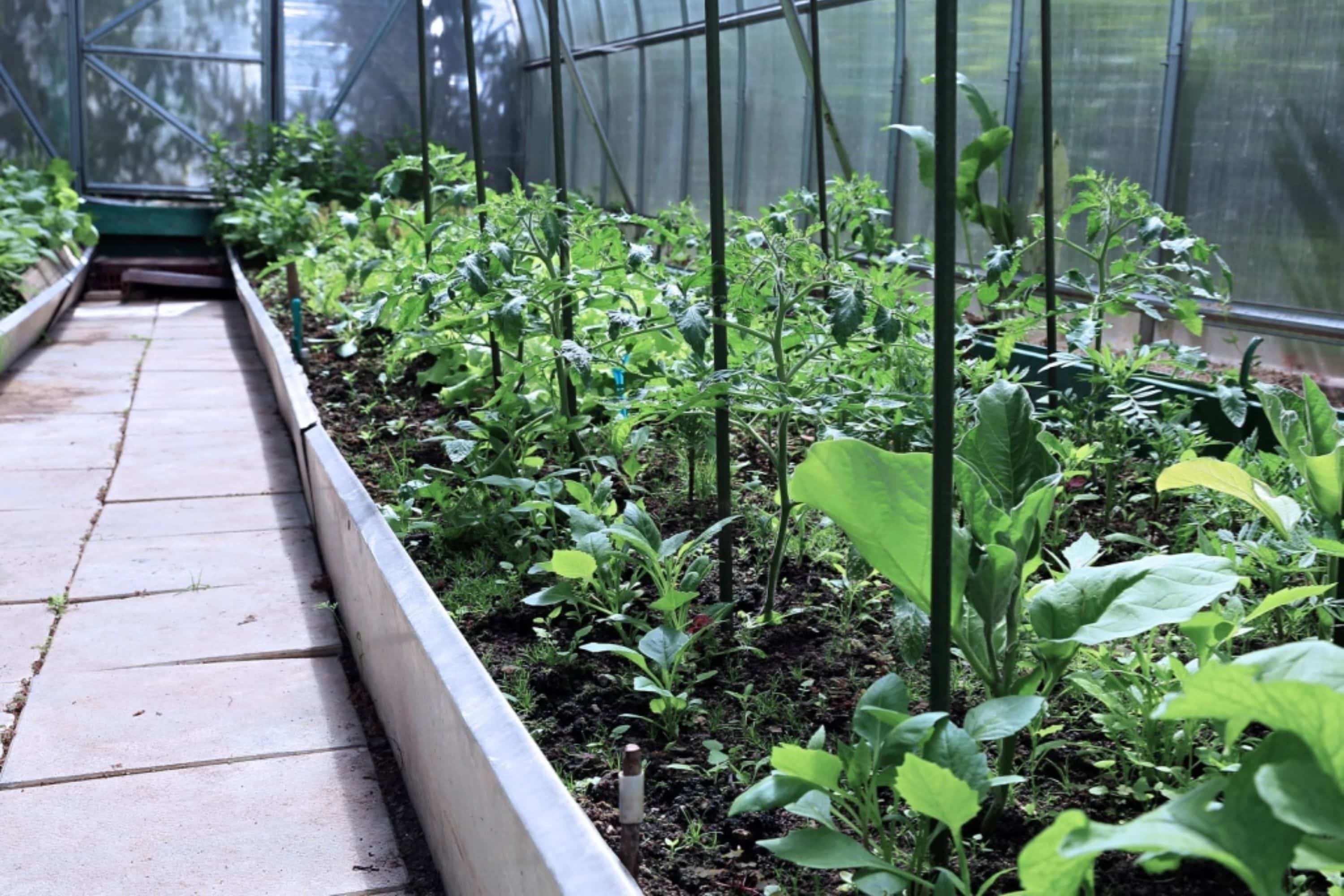 Kantopsluiting: toepassingen & prijzen [+ Hoe plaatsen?]