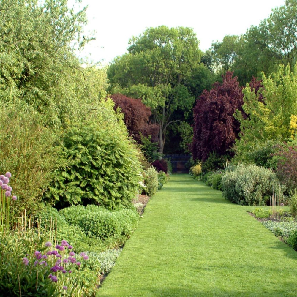 Tuinweb.nl: Info & tips voor tuinaanleg en tuinonderhoud